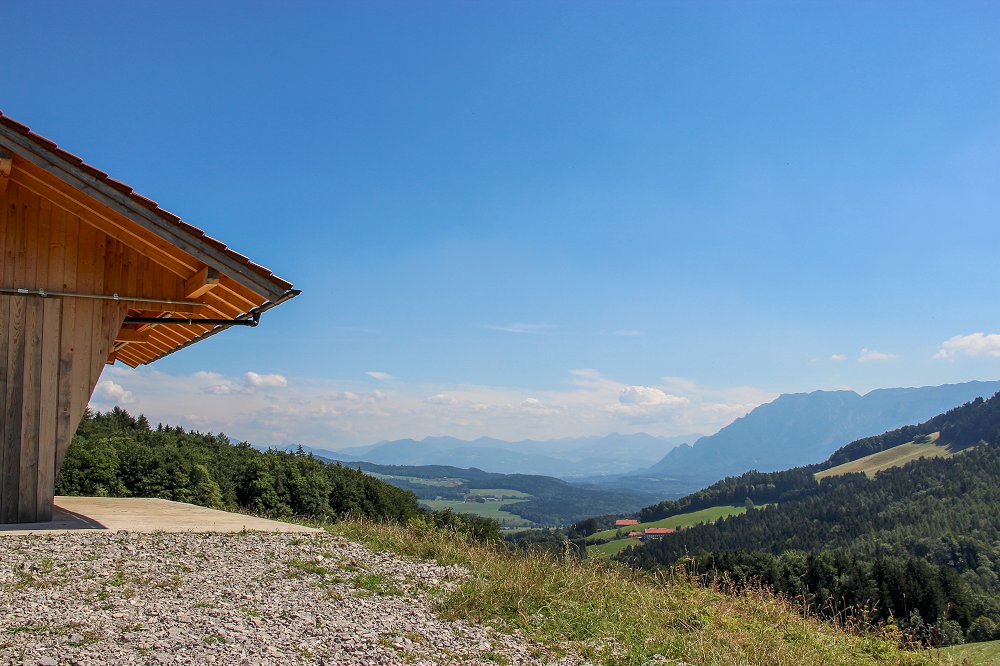 Bildergalerie Hirschzucht Baumgartner - Hubert Baumgartner, Stoißberg ...